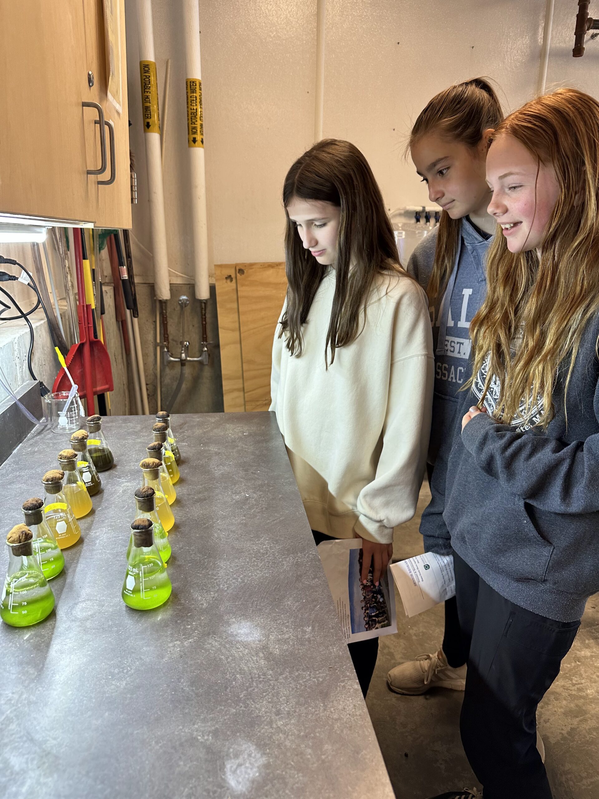 Leadership Week for our 5th to 8th-grade Students - The Phoenix School