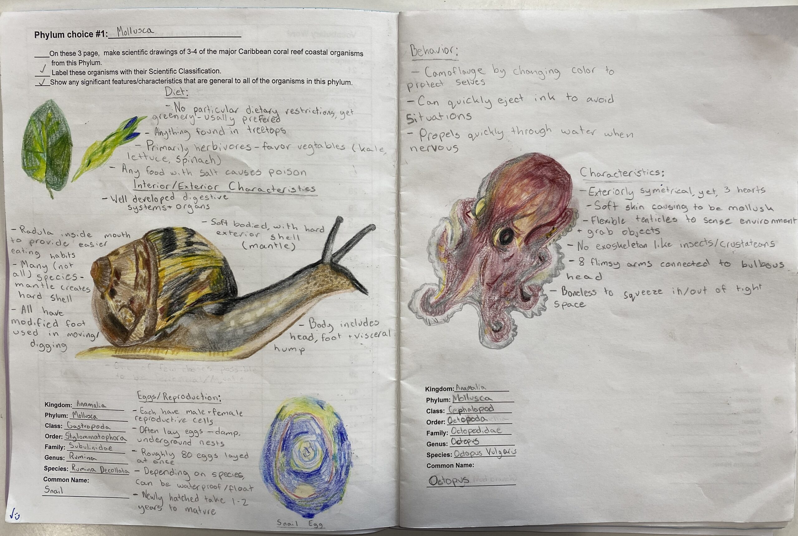 Art Education: Illuminating Pathways to Creativity and Critical ...