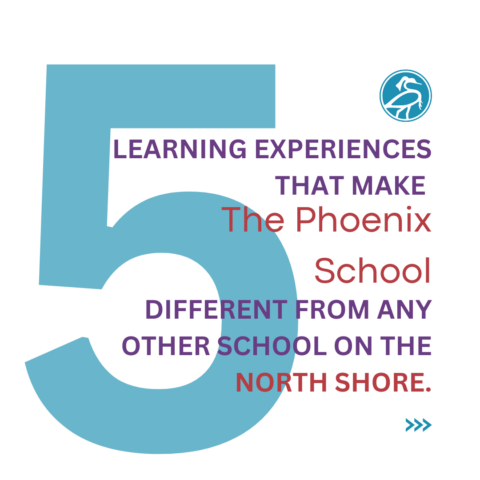 5 learning experiences that make Phoenix different from any other ...