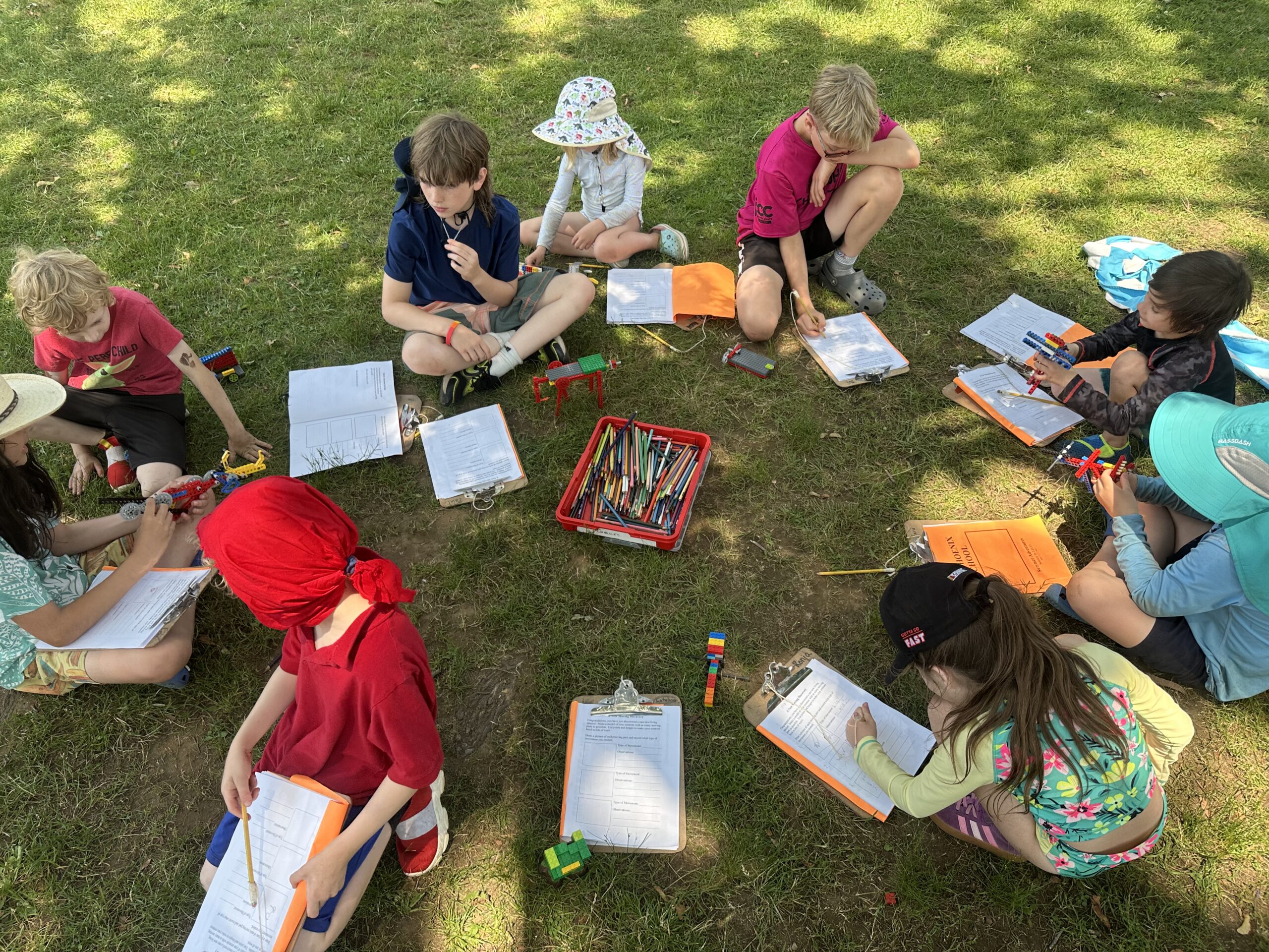 Not Your Average School: Where Curious Kids Thrive - The Phoenix School